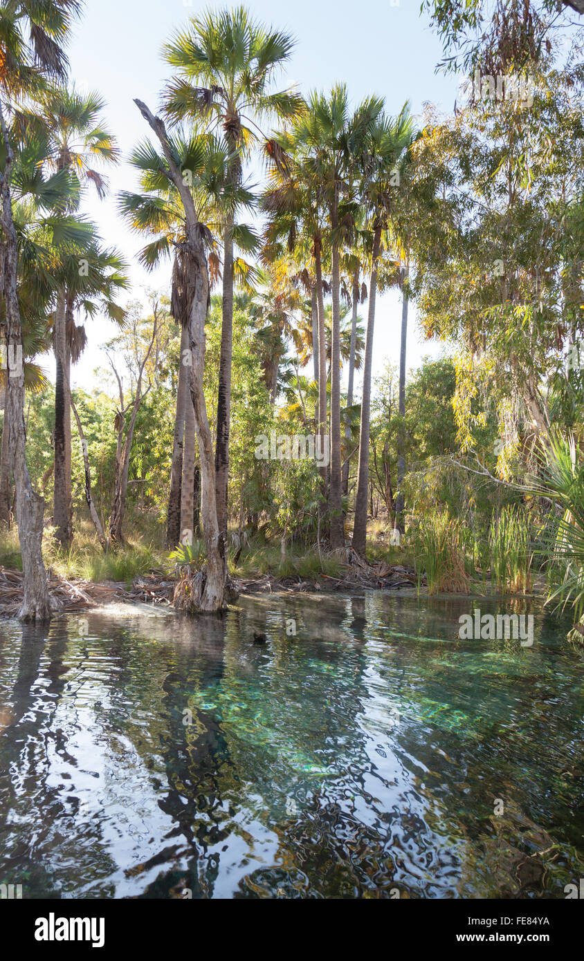 Water of thermal hot springs hi-res stock photography and images - Alamy
