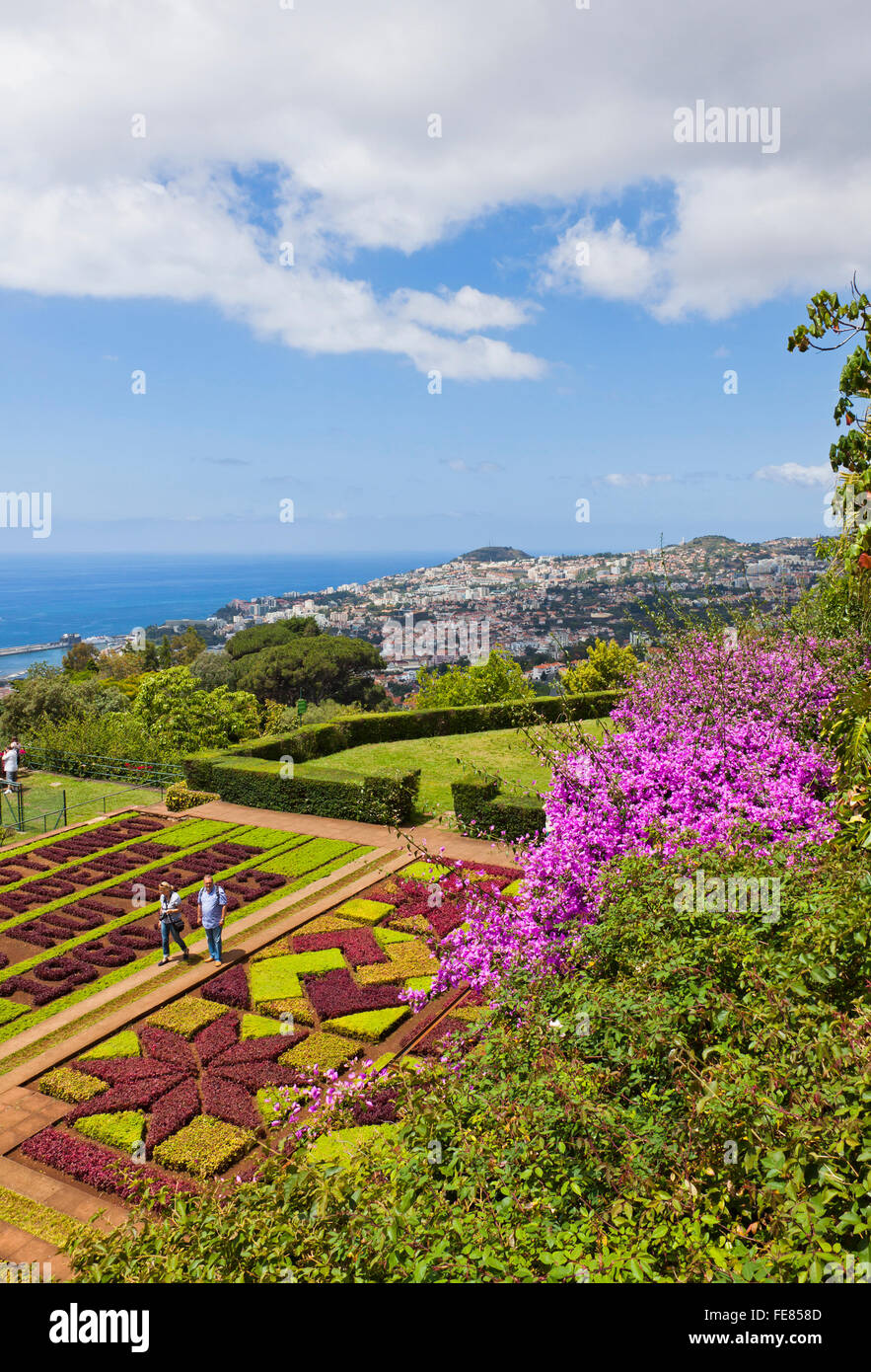 Tropical Botanical Garden in Funchal city, Madeira island, Portugal ...