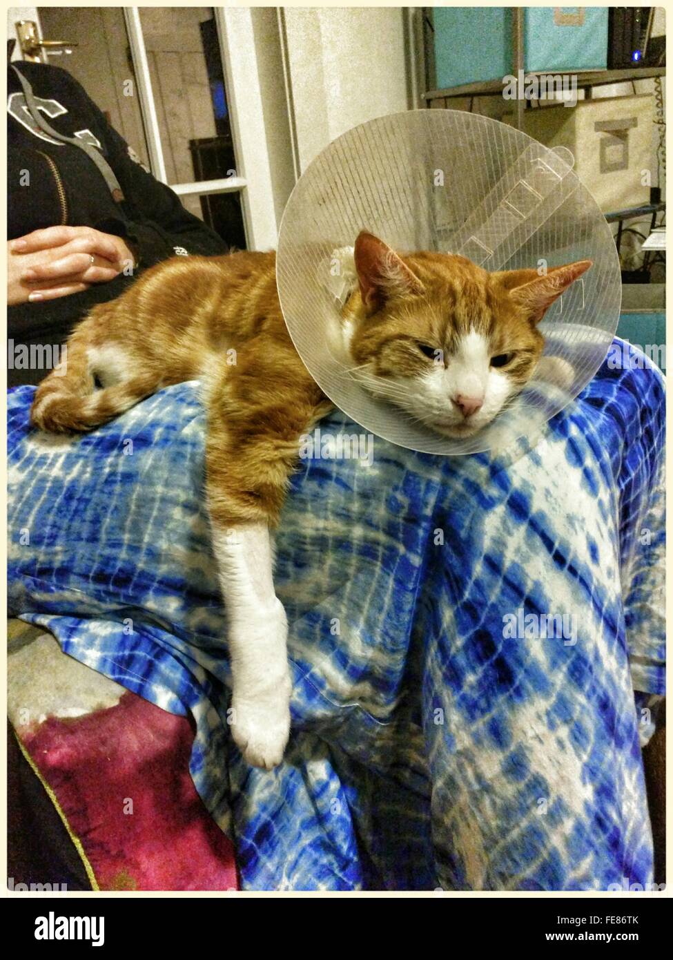 Lap view hi-res stock photography and images - Alamy