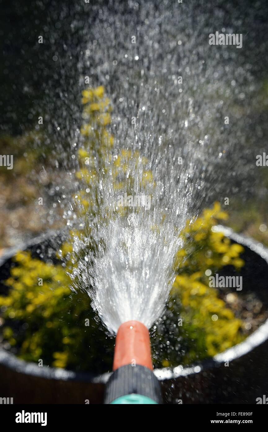 Watering with hose africa hi-res stock photography and images - Alamy