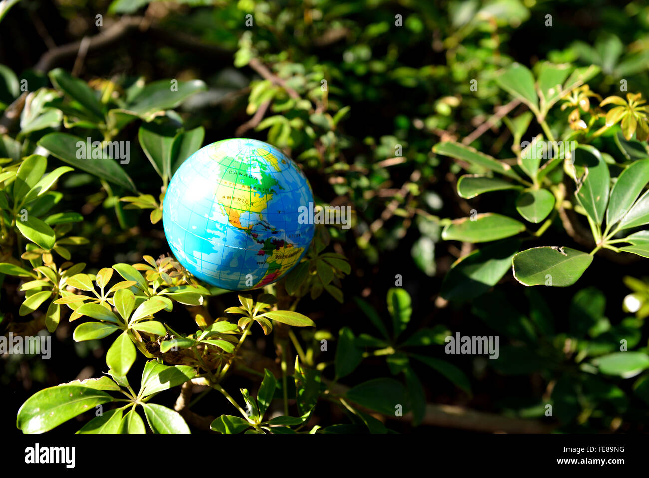 Symbols of new life nature hi-res stock photography and images - Alamy