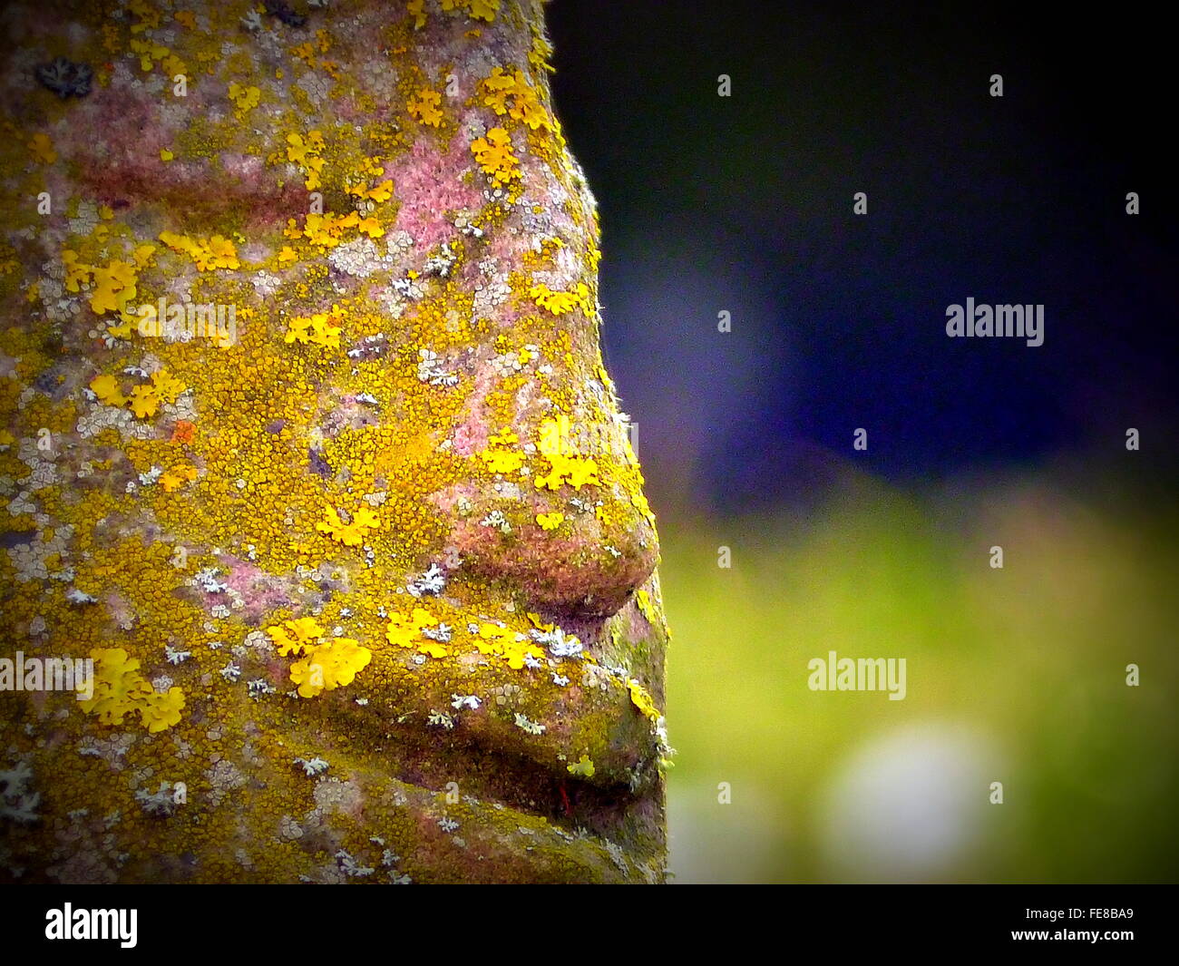 Moss Covered Sculpture Stock Photos & Moss Covered Sculpture Stock ...