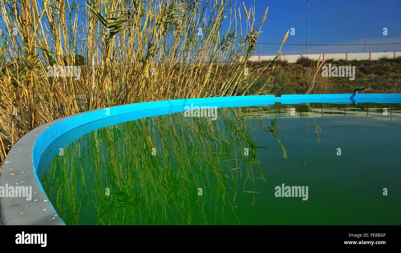 Rural scene environmental conservation hi-res stock photography and ...