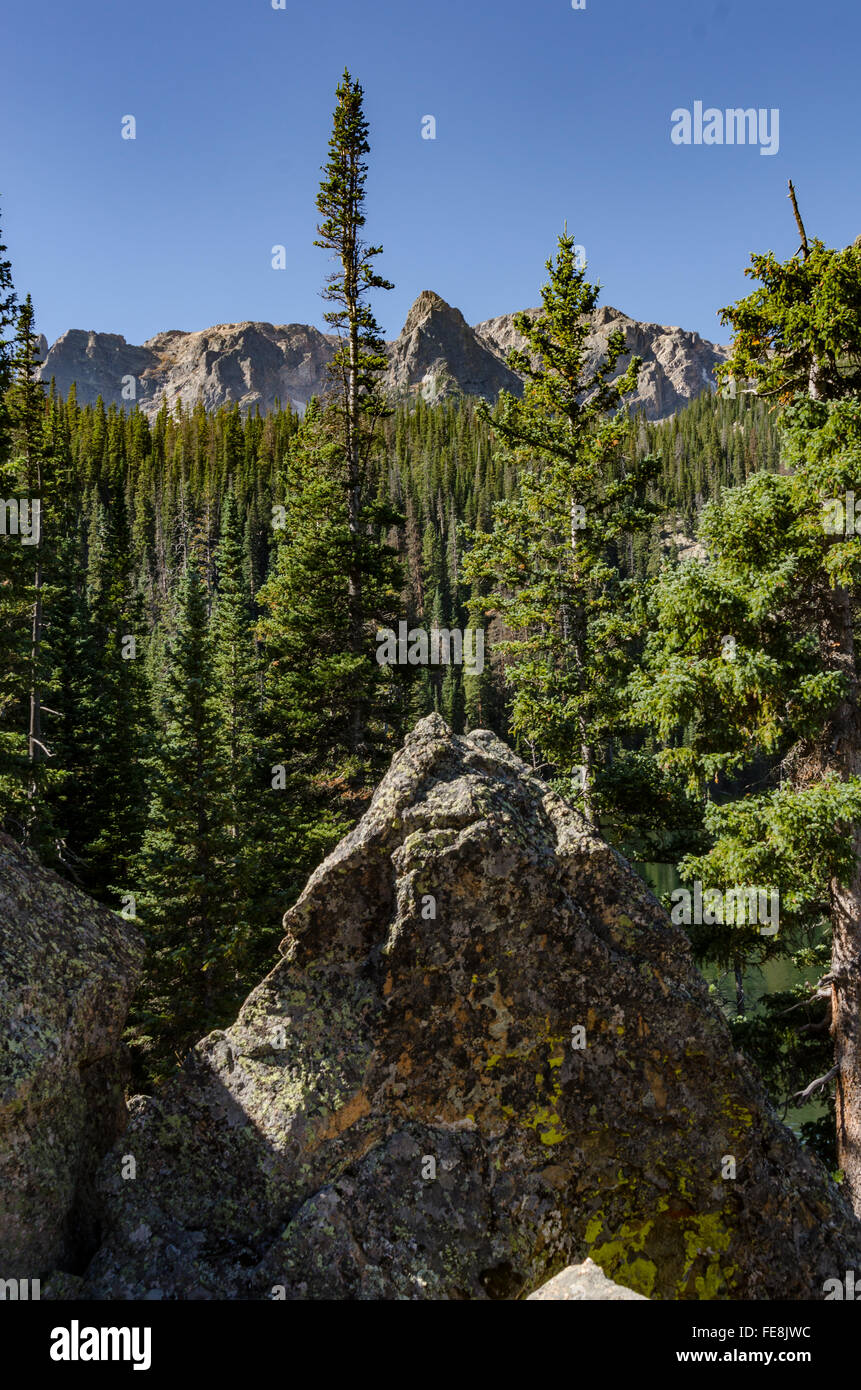 Mountains peek out over pine trees in the Rocky Mountains Stock Photo ...