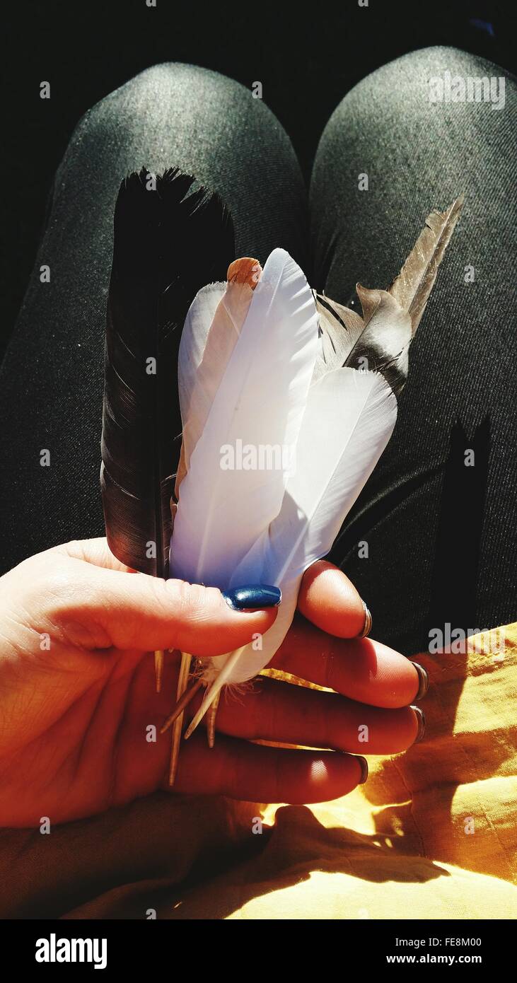 Close up hand holding feathers hi-res stock photography and images - Alamy