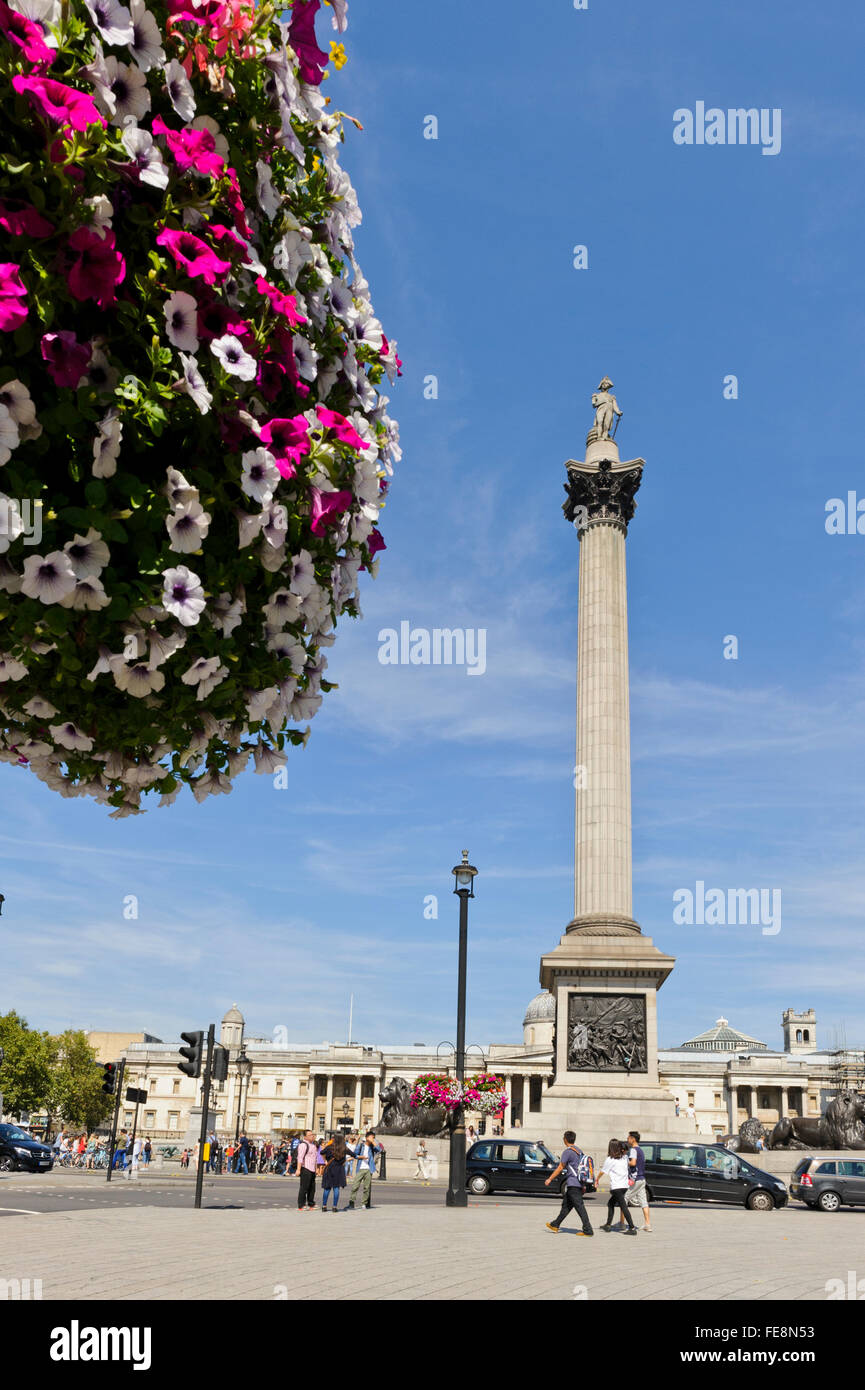 The iconic Nelson Column in Trafalgar Square, London, United Kingdom ...