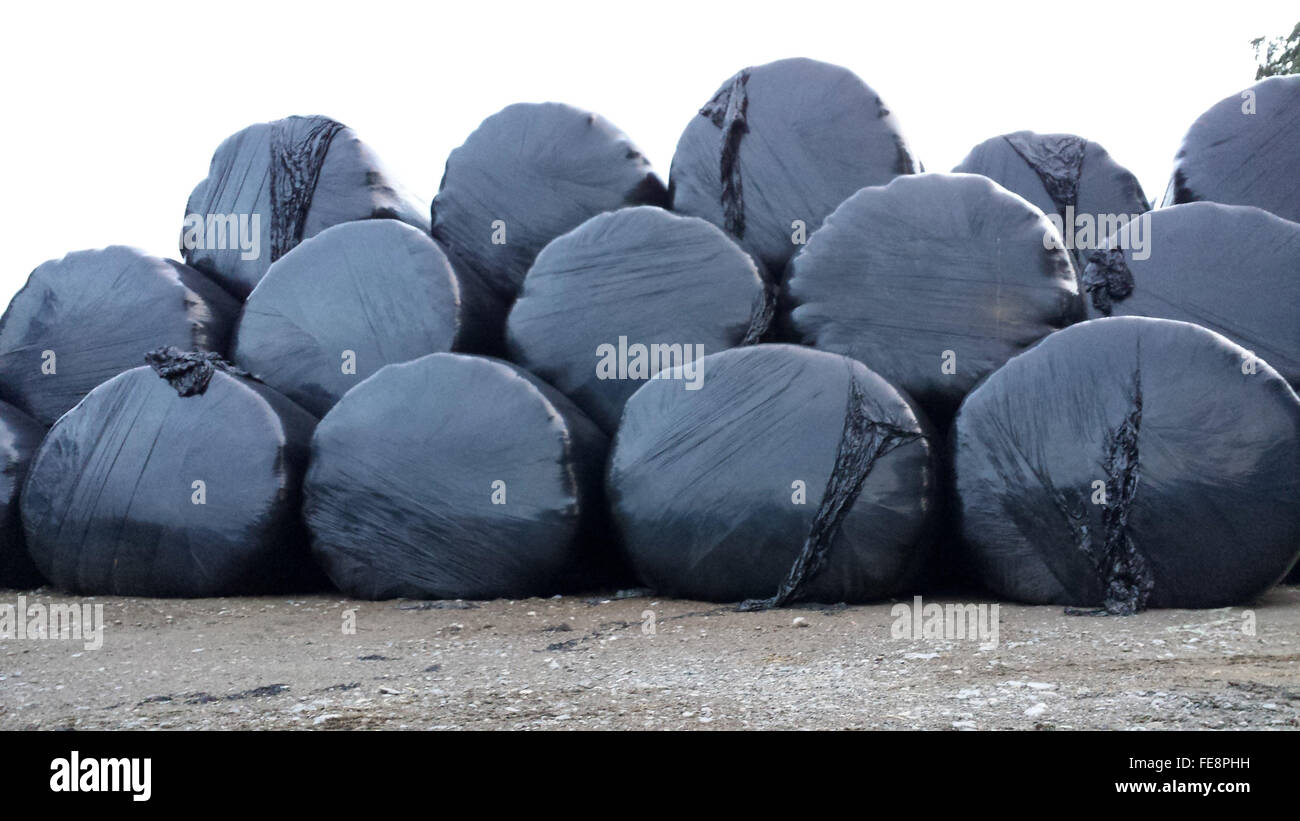 Hay bale wrapped in plastic hi-res stock photography and images - Alamy