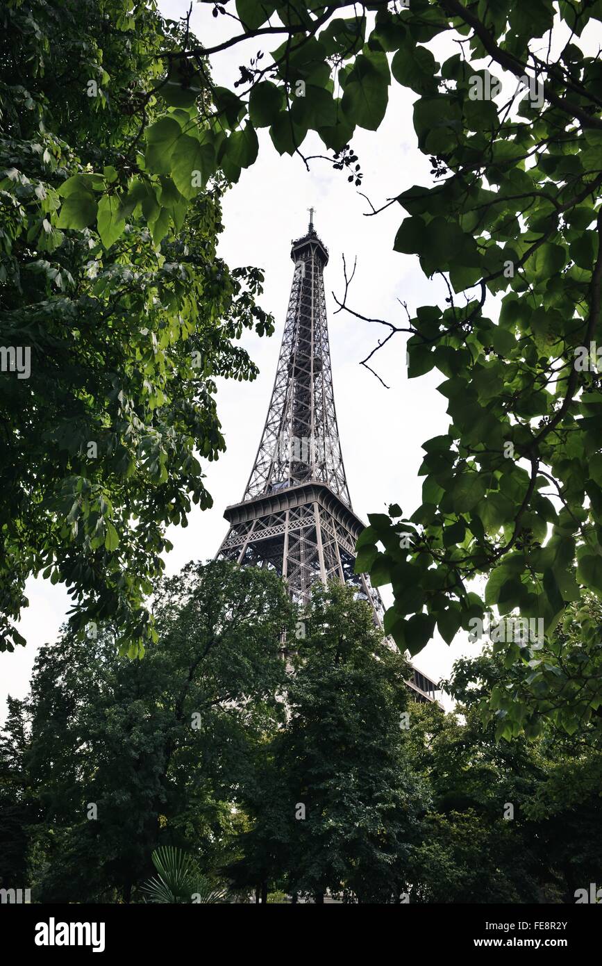 Tower with trees hi-res stock photography and images - Alamy