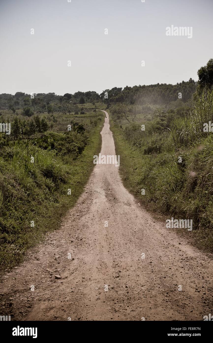 Dirt Road In Grassy Field Stock Photo - Alamy