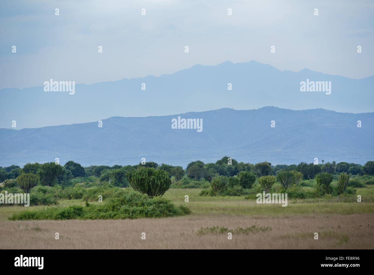 Savannah outdoors hi-res stock photography and images - Alamy