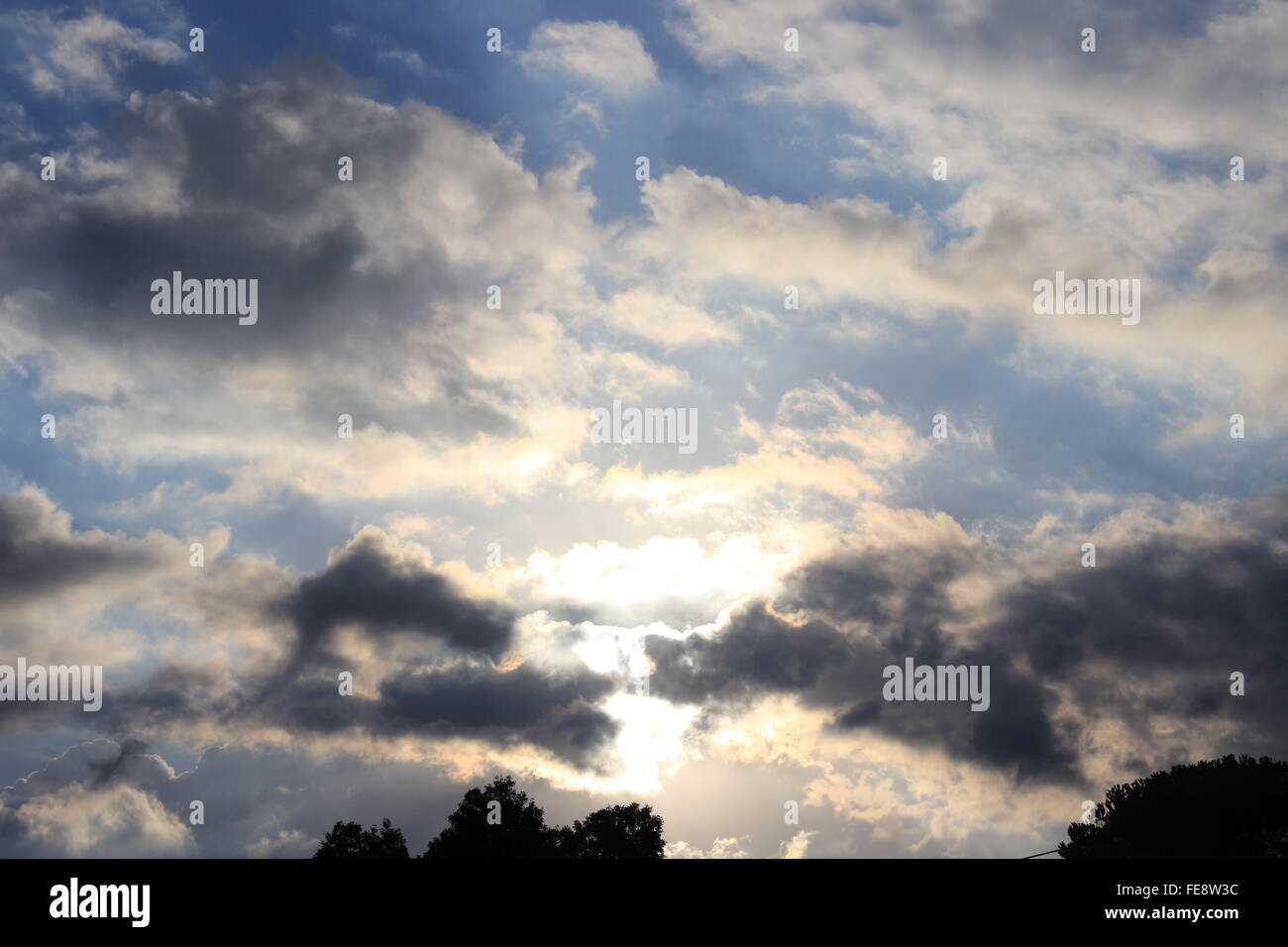 Backlit with sun hi-res stock photography and images - Alamy