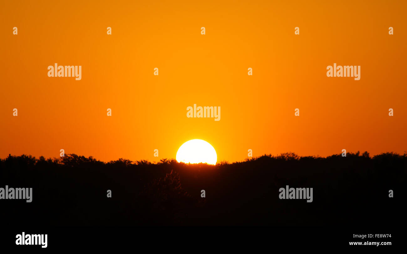 Sun Shining Over Trees During Sunset Stock Photo - Alamy