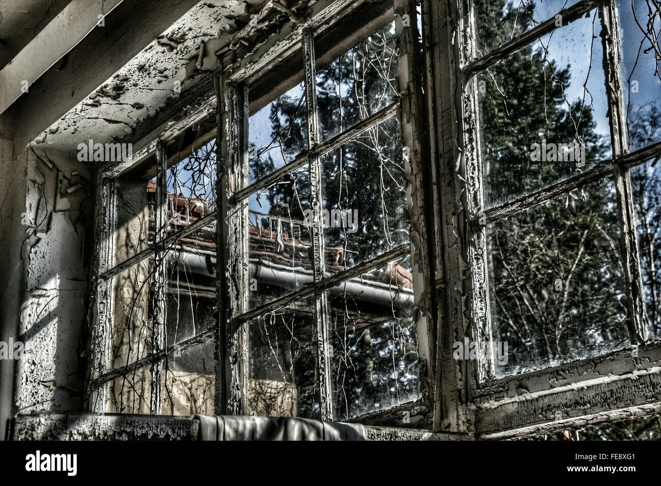 Trees through window hi-res stock photography and images - Alamy