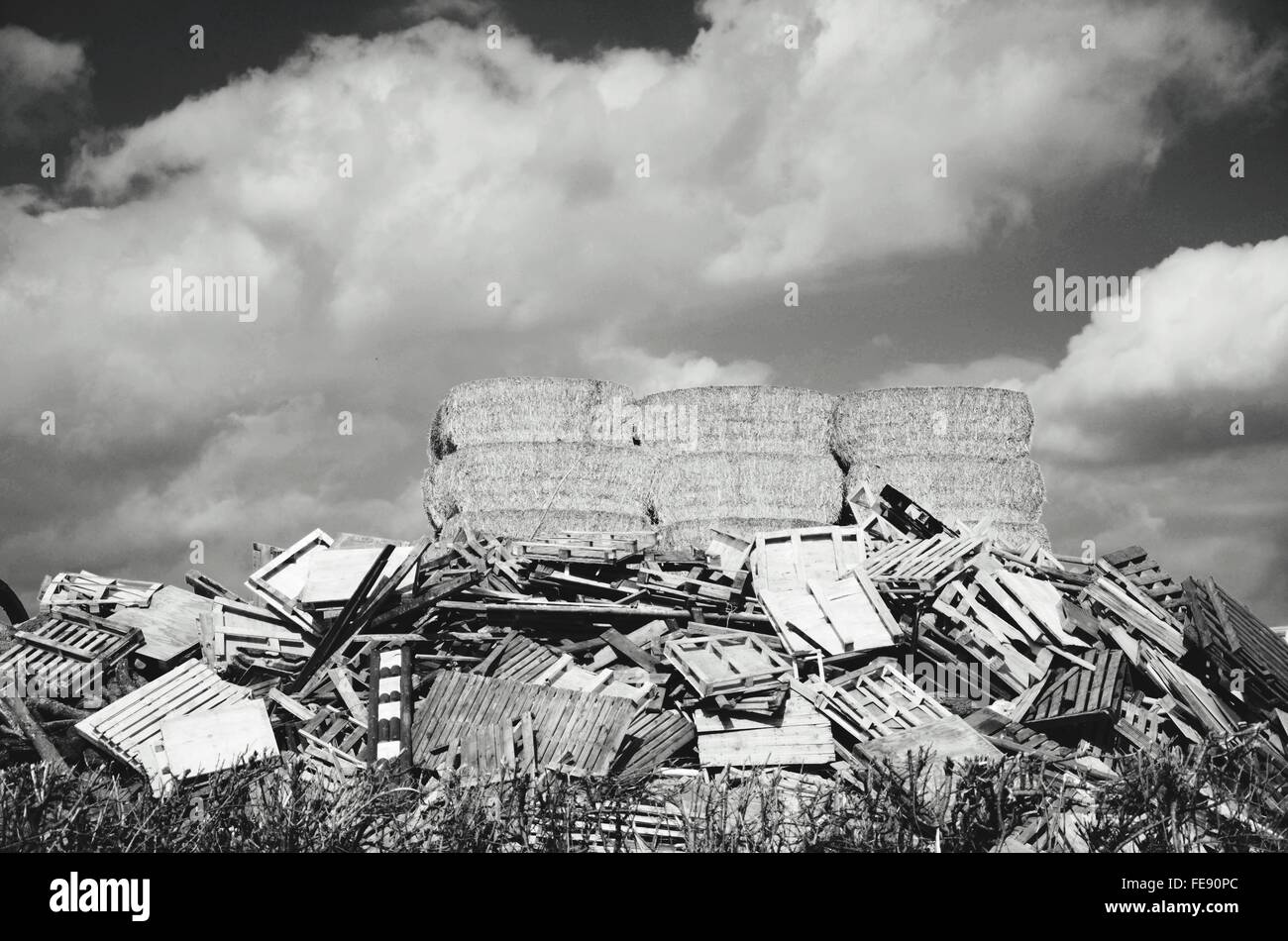 Broken wooden crate hi-res stock photography and images - Alamy