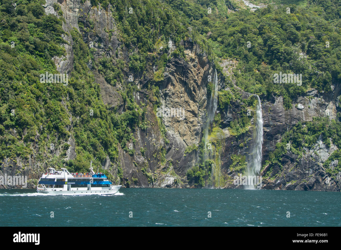 New Zealand, South Island, Fiordland National Park, Milford Sound ...