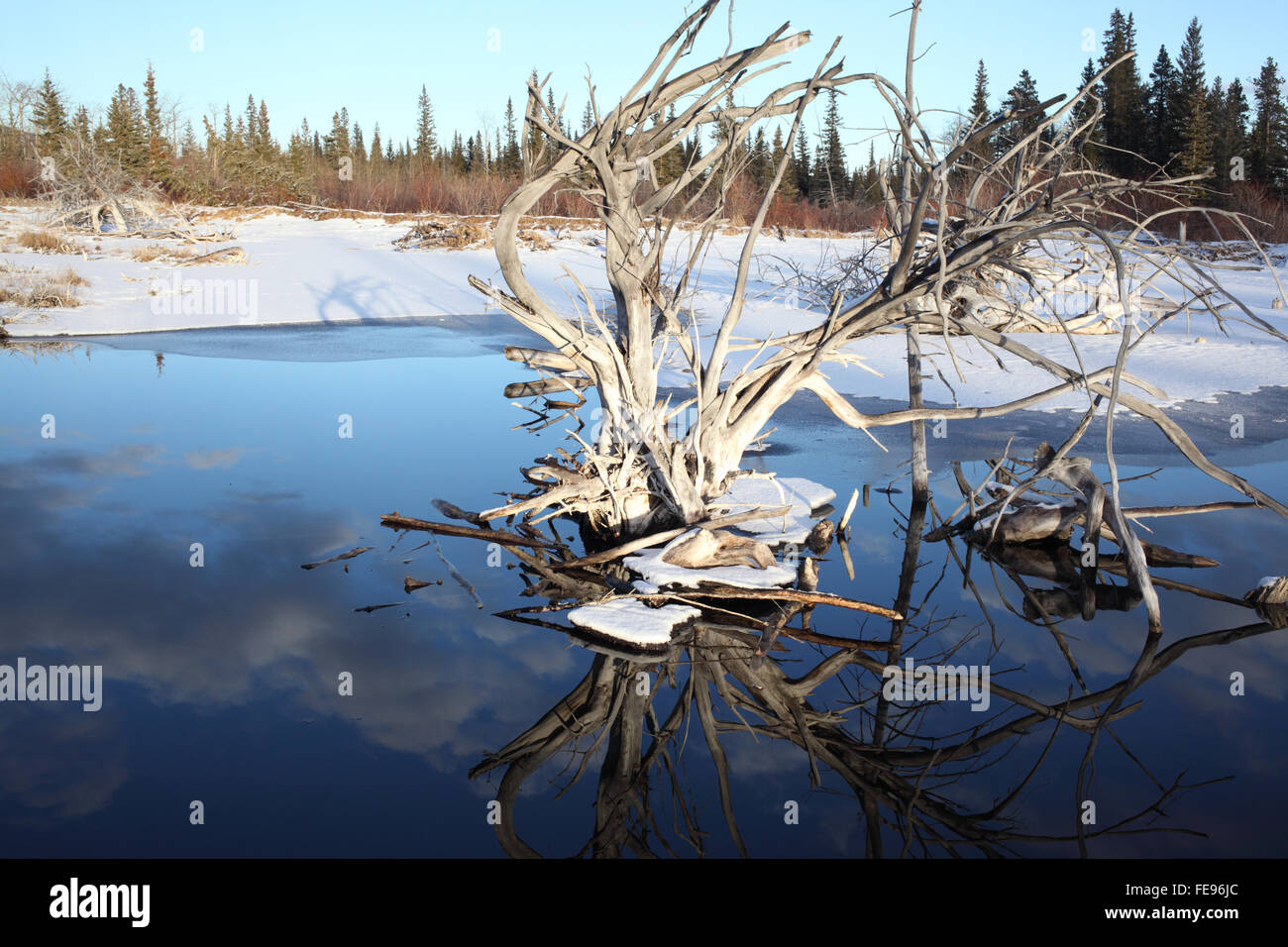 Yamnuska hi-res stock photography and images - Alamy