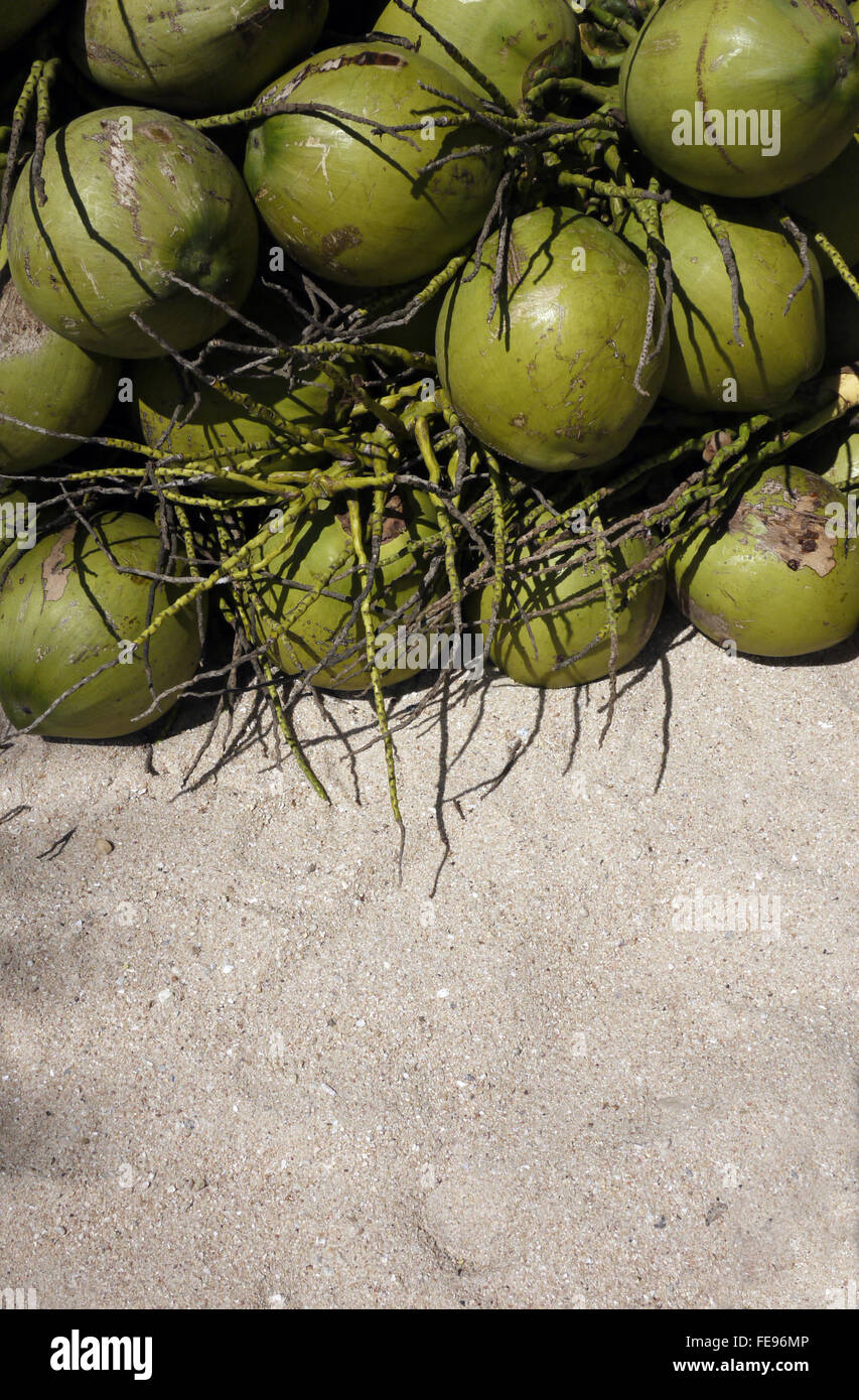 Green coconuts hi-res stock photography and images - Alamy