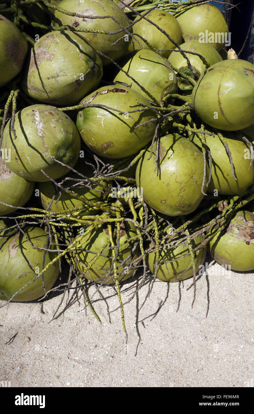 Green coconuts hi-res stock photography and images - Alamy