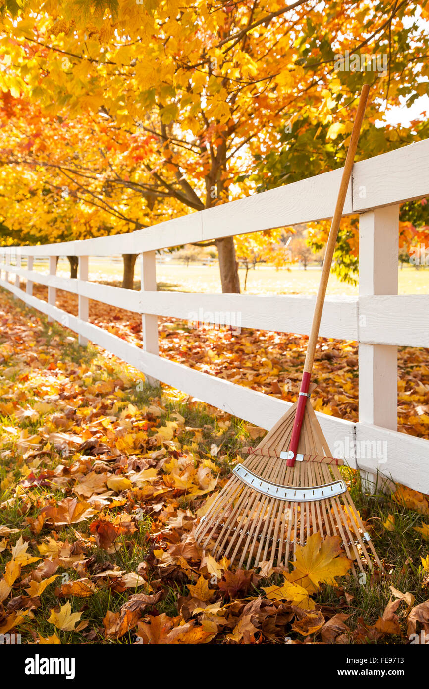 Bamboo rake hi-res stock photography and images - Alamy