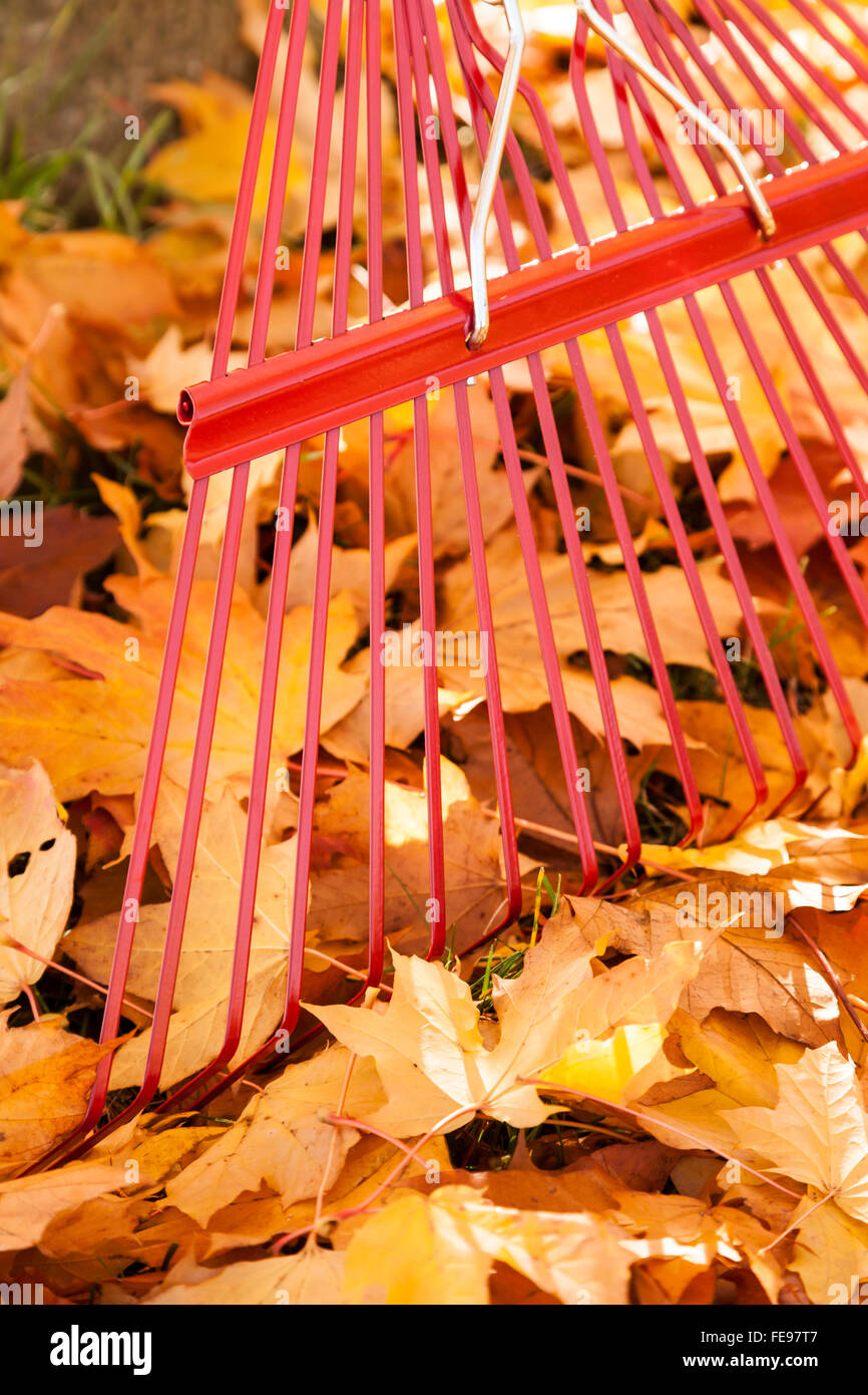 Fall leaf piles hi-res stock photography and images - Alamy