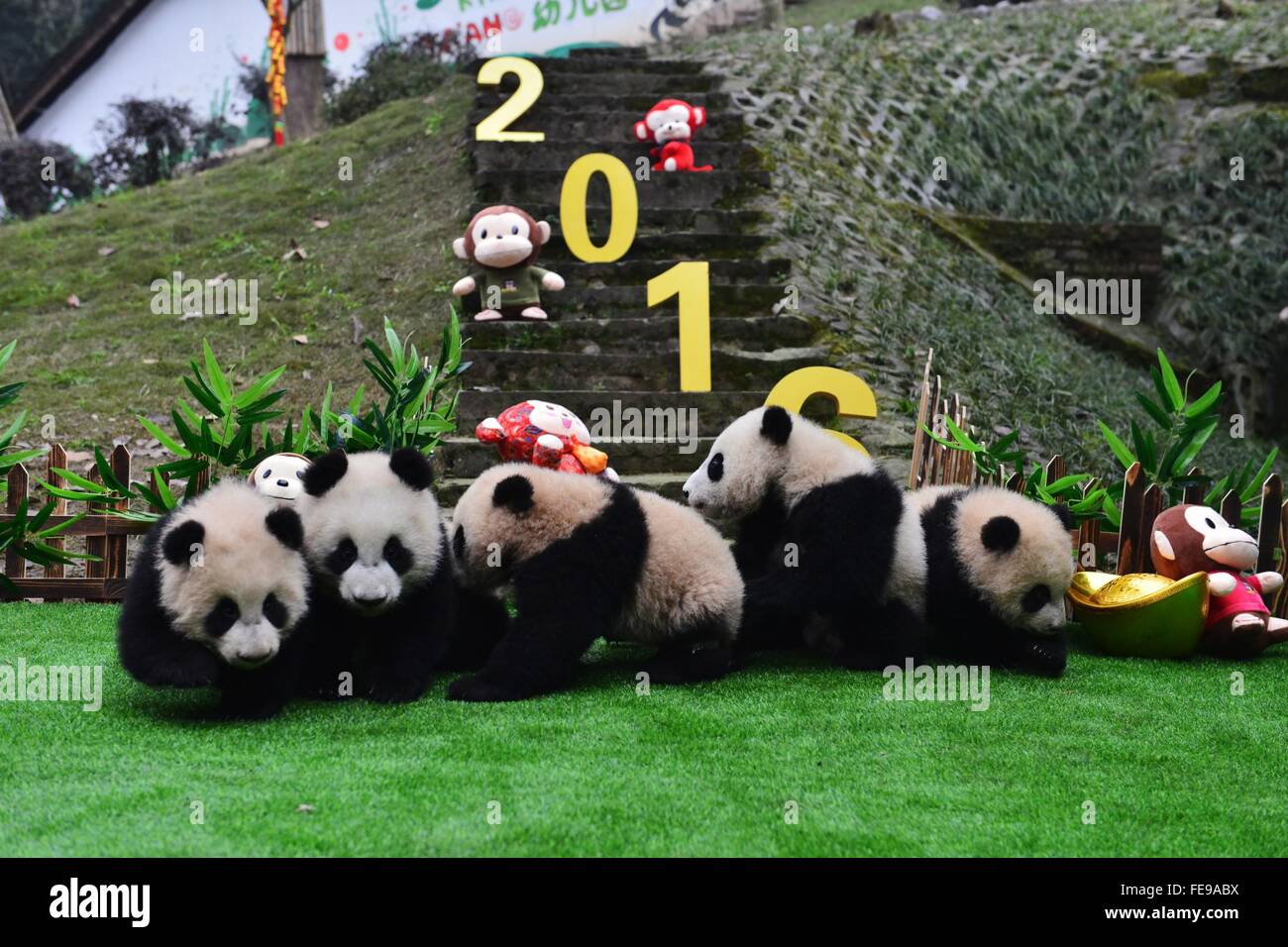 Five to seven hi-res stock photography and images - Alamy