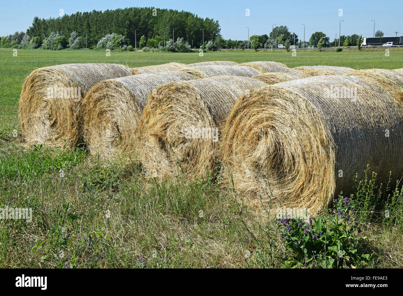 Straw bale side view hi-res stock photography and images - Alamy