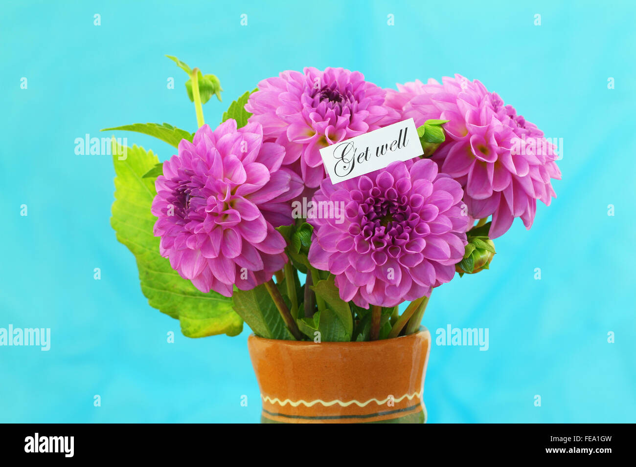 Get well card with pink dahlia flower bouquet Stock Photo - Alamy