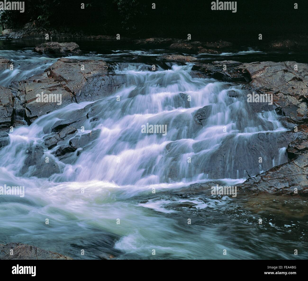 Endau rompin hi-res stock photography and images - Alamy