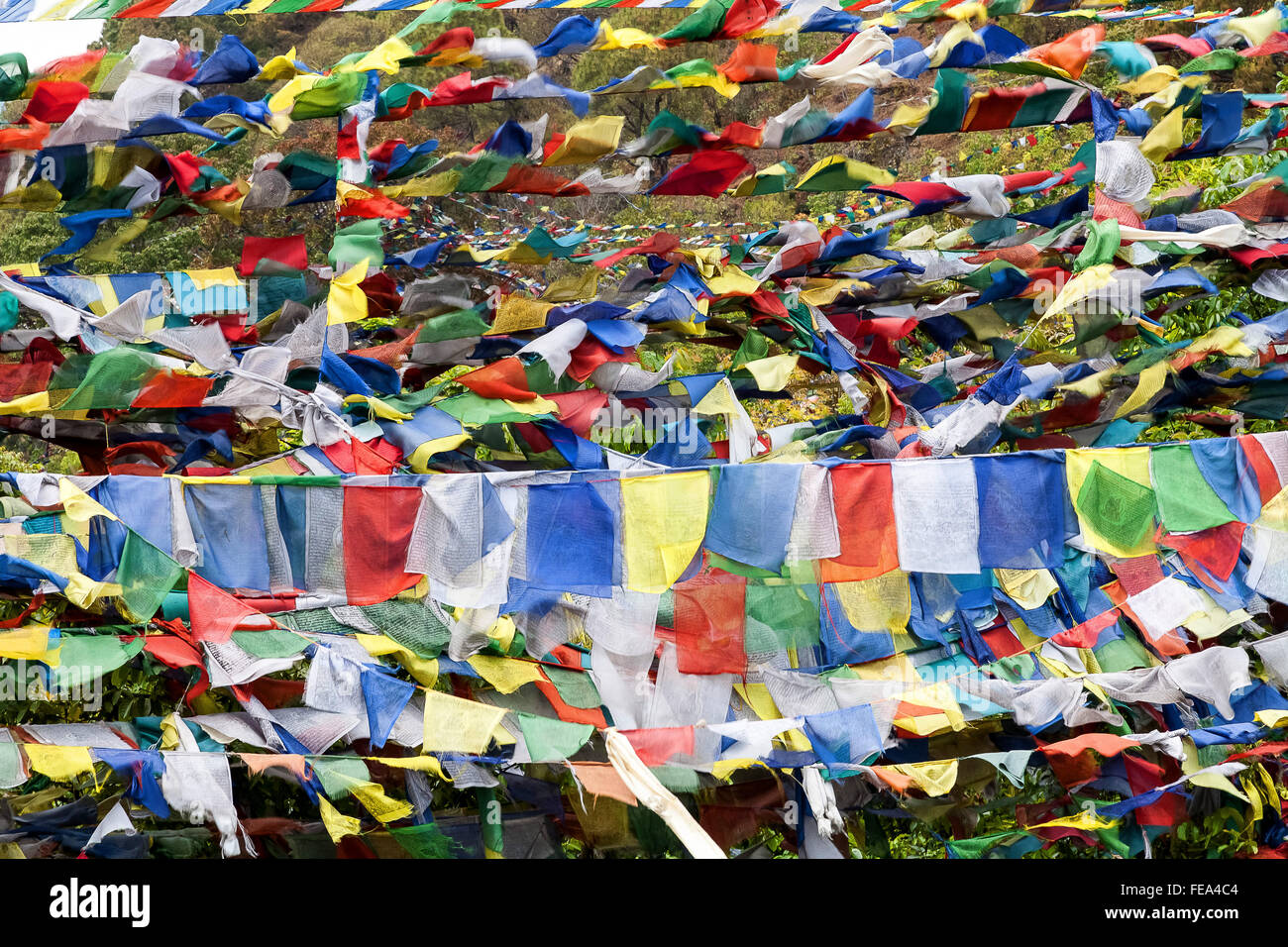 Colourful prayer flags Stock Photo - Alamy
