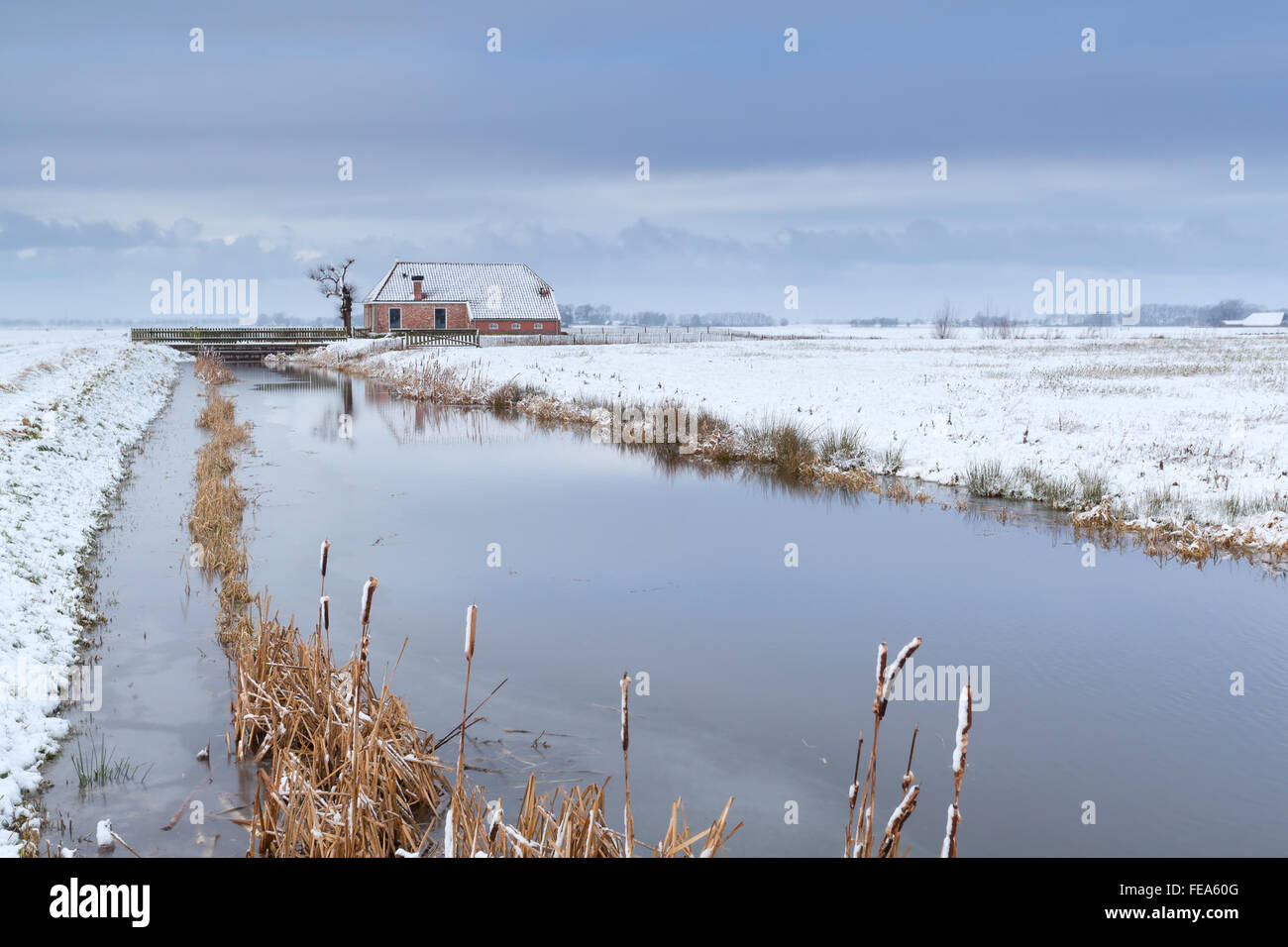 house by river in snow on Dutch farmland, Holland Stock Photo - Alamy