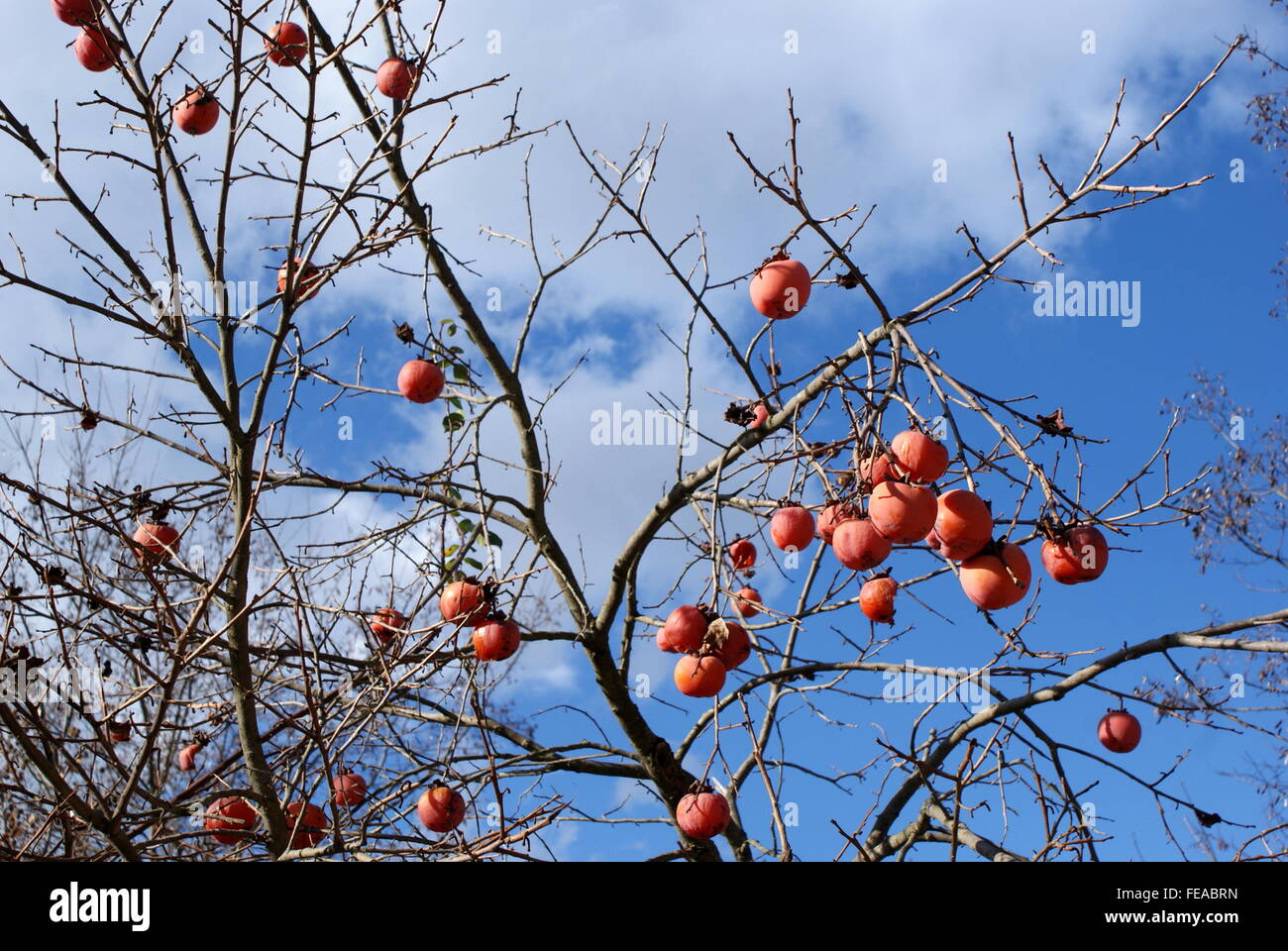 Picinisco Stock Photos & Picinisco Stock Images - Alamy