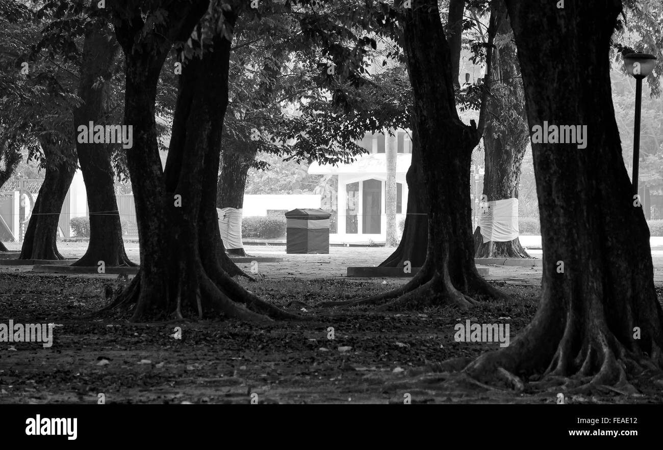 Hut tree hi-res stock photography and images - Alamy