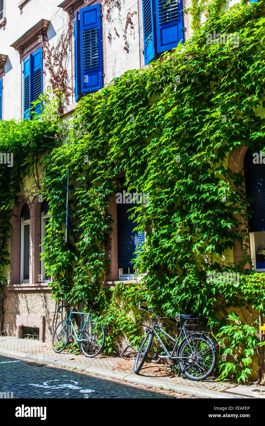 Vine covered house hi-res stock photography and images - Alamy