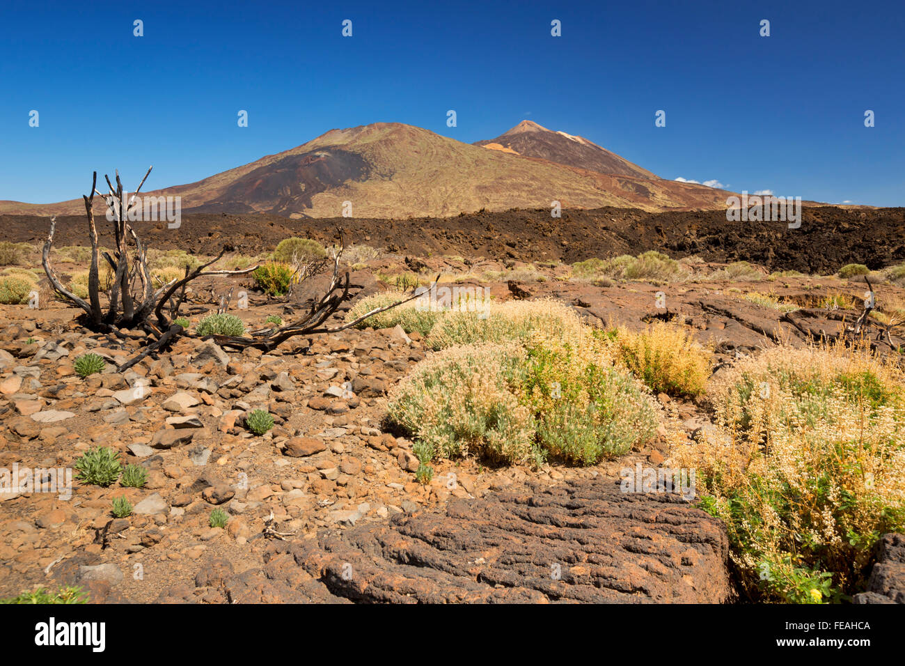 Mount teide volcano on tenerife hi-res stock photography and images - Alamy