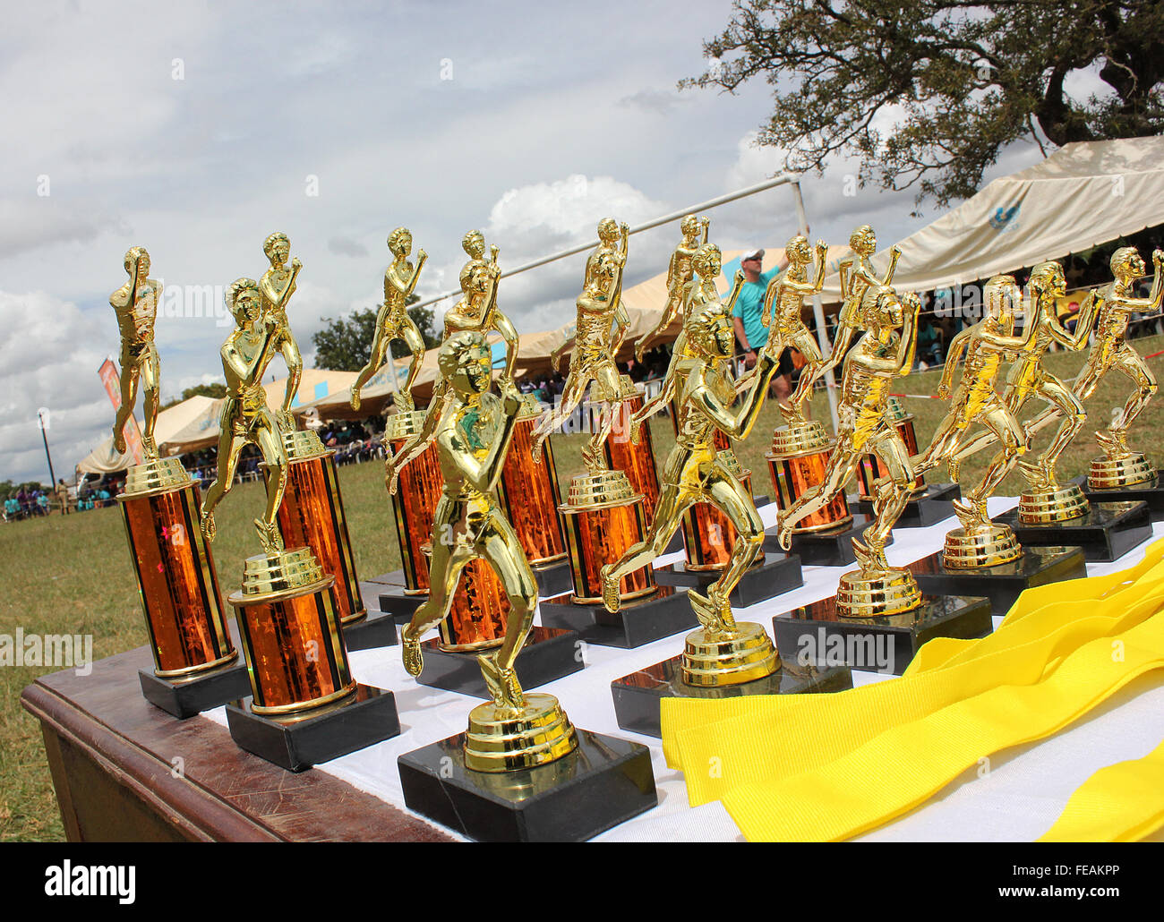 An award table Stock Photo - Alamy