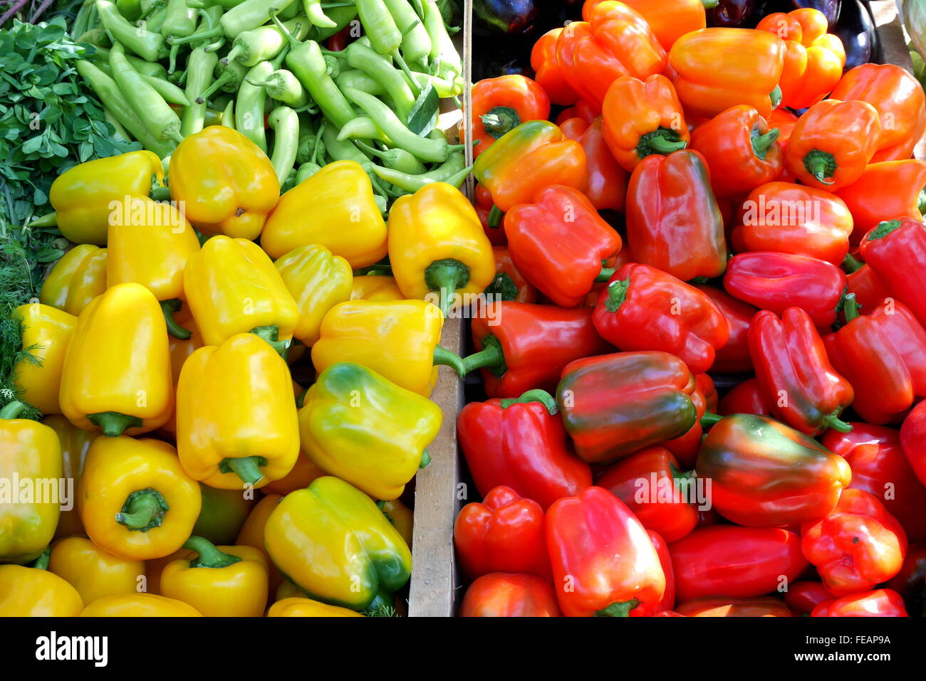 Chilli, herbs and red, yellow and orange peppers on a stall at the ...