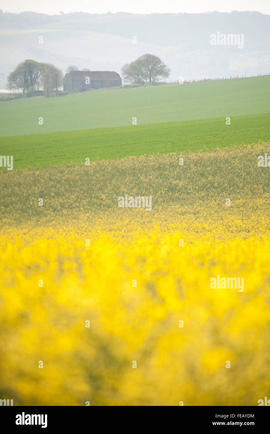 A SPRINGTIME VIEW OF THE SOUTH DOWNS Stock Photo - Alamy