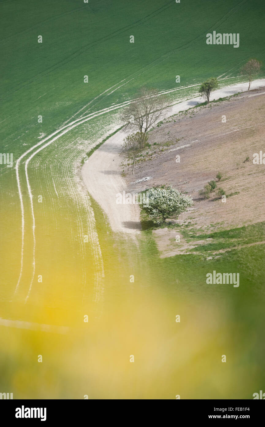A SPRINGTIME VIEW OF THE SOUTH DOWNS Stock Photo - Alamy