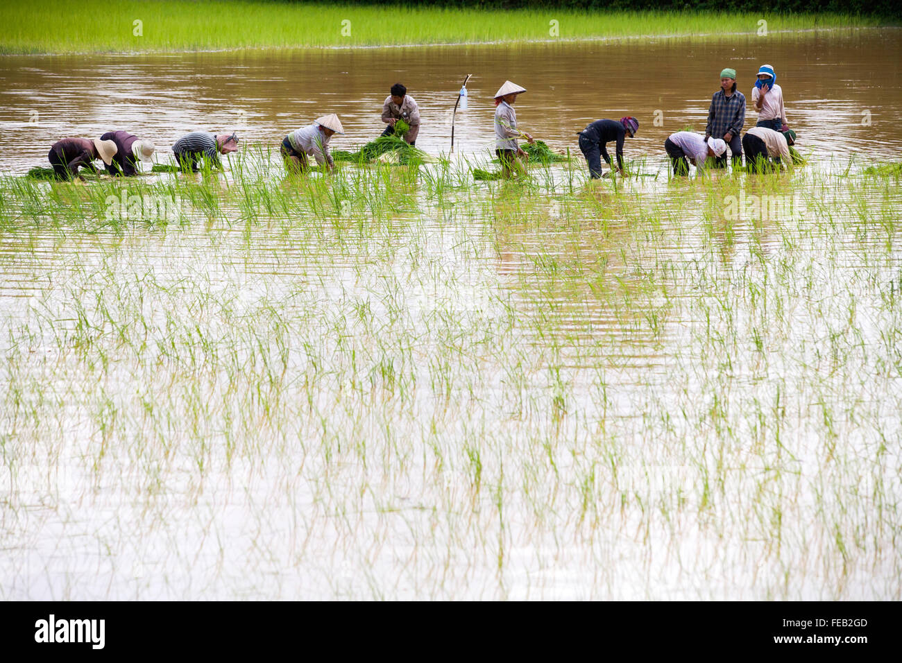 Pre planting field hi-res stock photography and images - Alamy