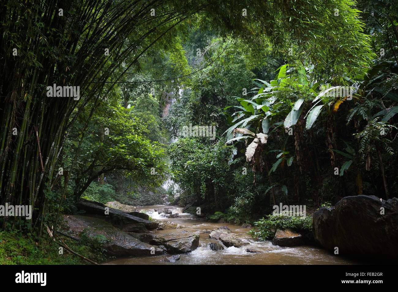Mork-Fa Waterfall, Chiang Mai Province, Thailand Stock Photo - Alamy