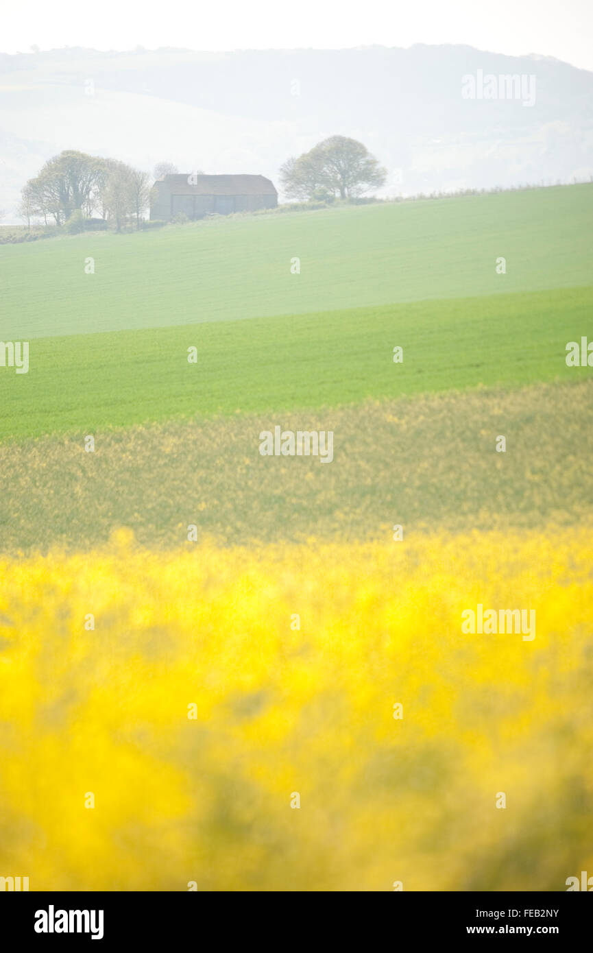 A SPRINGTIME VIEW OF THE SOUTH DOWNS Stock Photo - Alamy