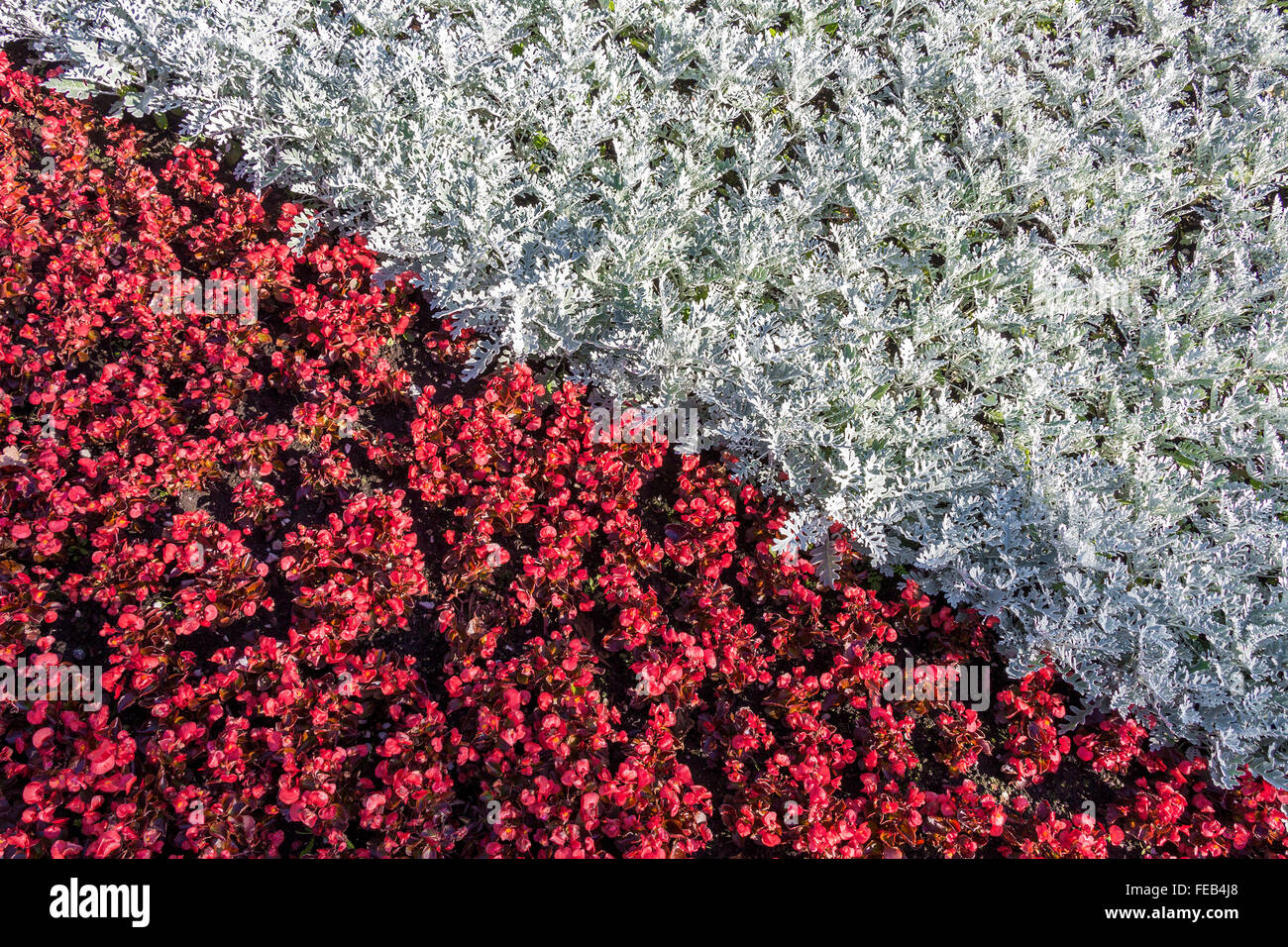floral carpet close-up Stock Photo - Alamy
