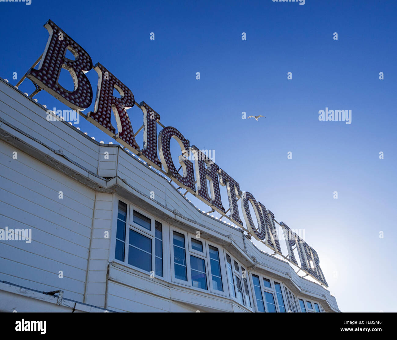 Brighton Pier sign and seagull in a clear blue sky Stock Photo - Alamy