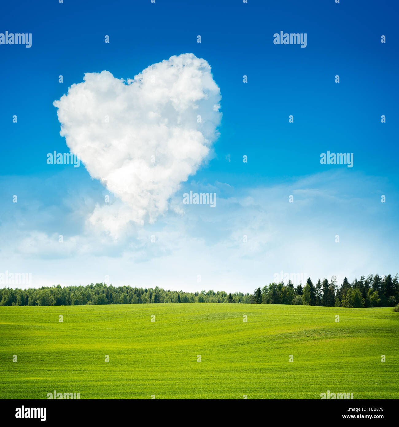 Heart Shaped Cloud and Green Field Landscape Stock Photo - Alamy