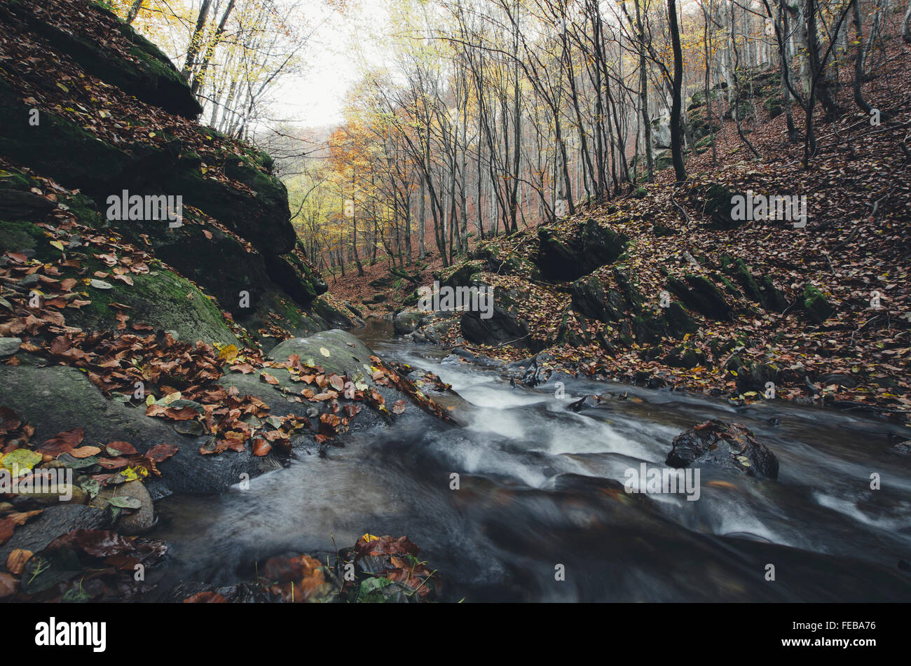 River natural landscape in hi-res stock photography and images - Alamy