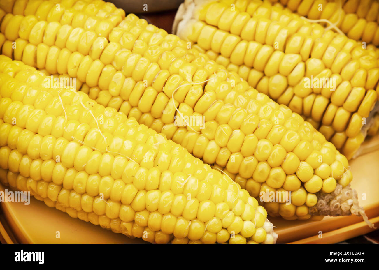 Maize Cobs Colors High Resolution Stock Photography and Images - Alamy