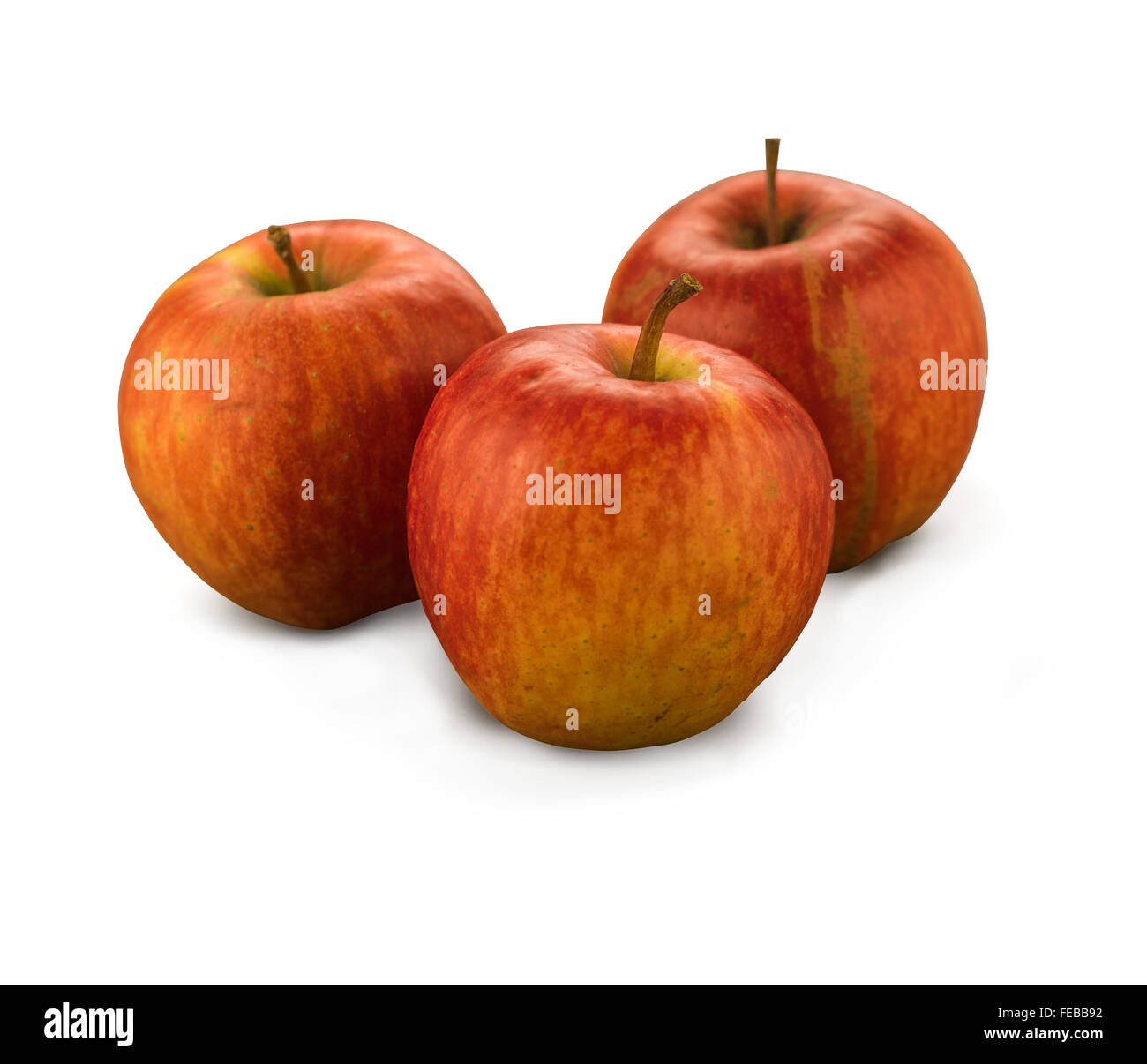 Red falstaff apples hi-res stock photography and images - Alamy
