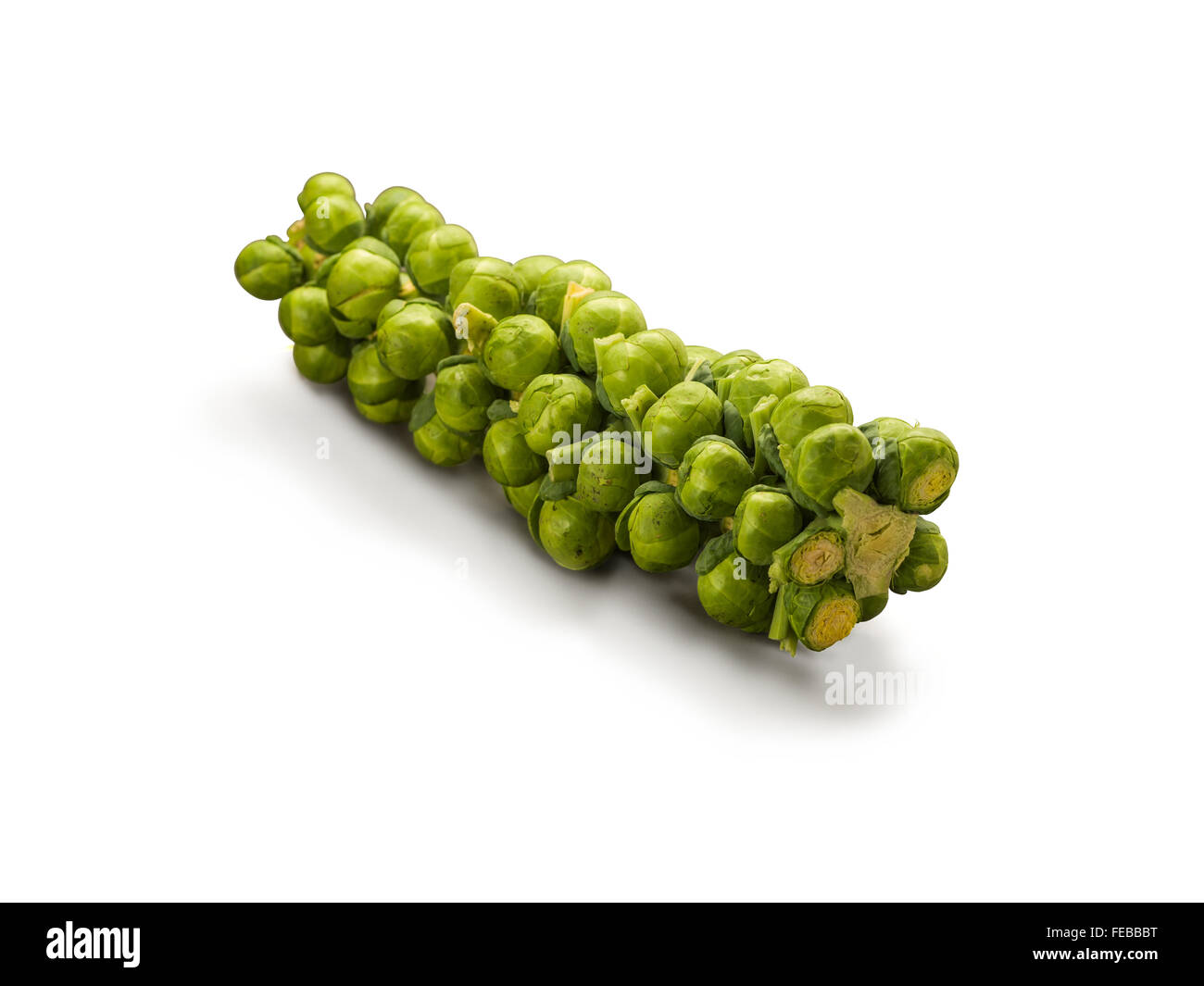 Sprouts on stalk hi-res stock photography and images - Alamy