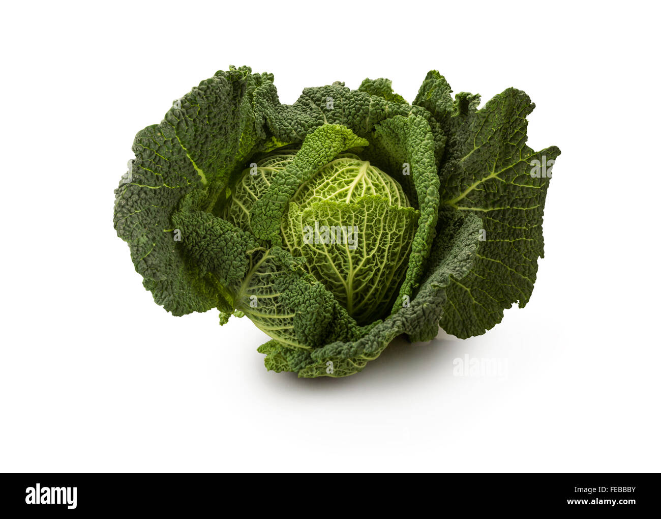 organic cabbage isolated on white background Stock Photo - Alamy