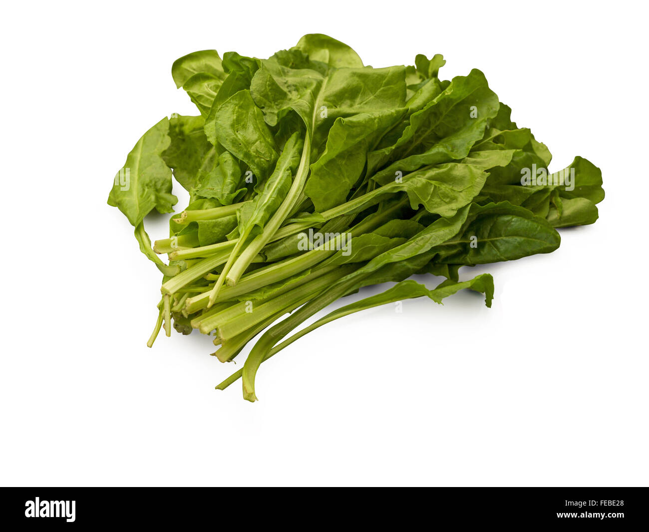 Organic Spinach isolated on white background Stock Photo - Alamy